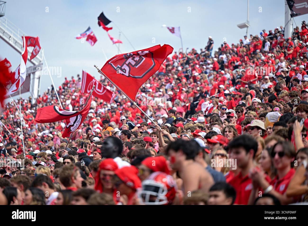 SALT LAKE CITY, UT - SEPTEMBER 20: Utah fans cheer after a Utah ...