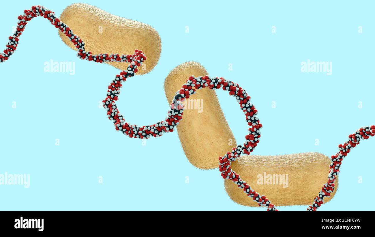 Exopolymer hi-res stock photography and images - Alamy