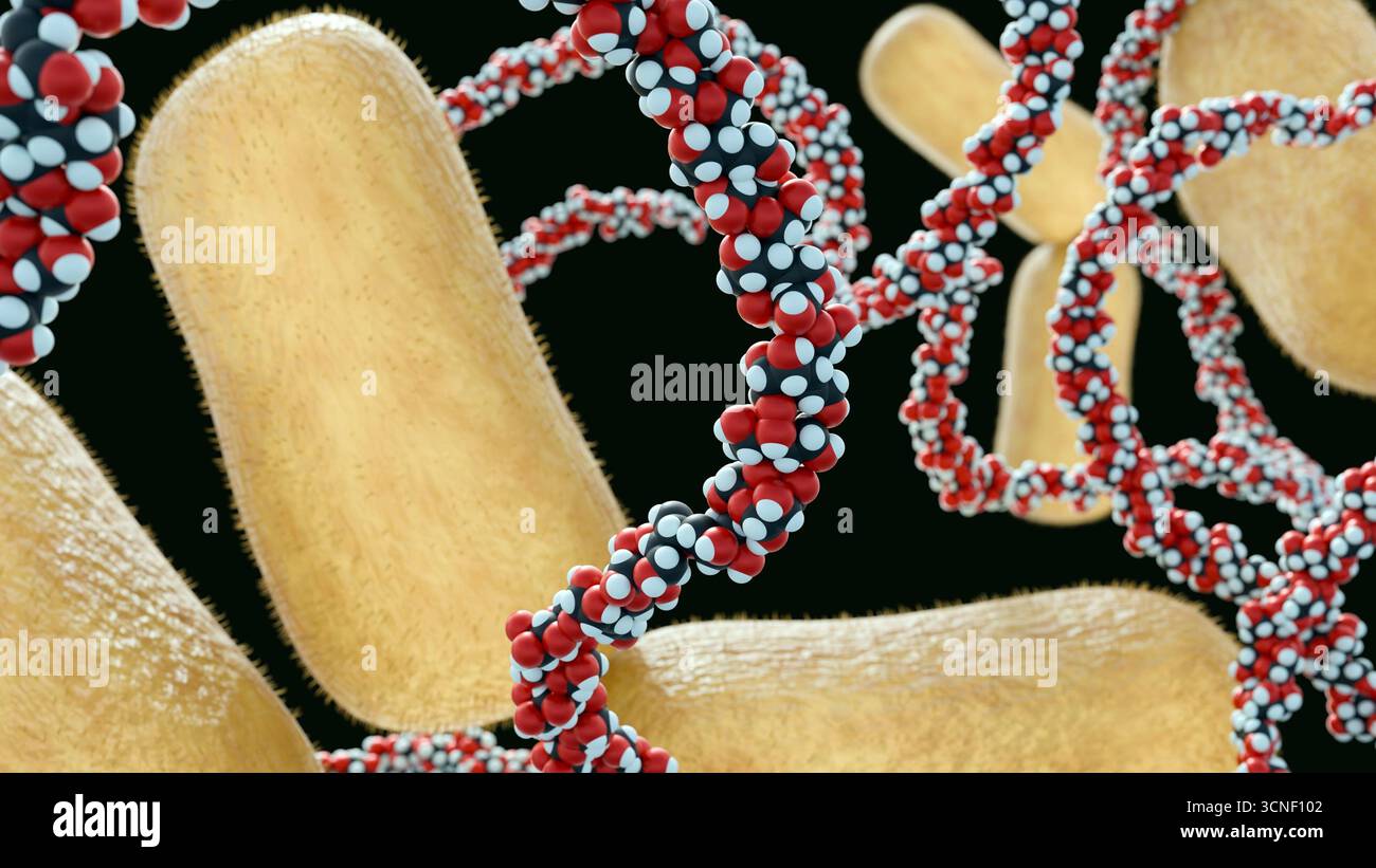 Exopolymer hi-res stock photography and images - Alamy