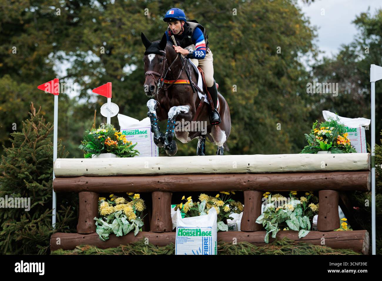 Astier Nicolas of France riding Alertamalib'or during the cross country ...