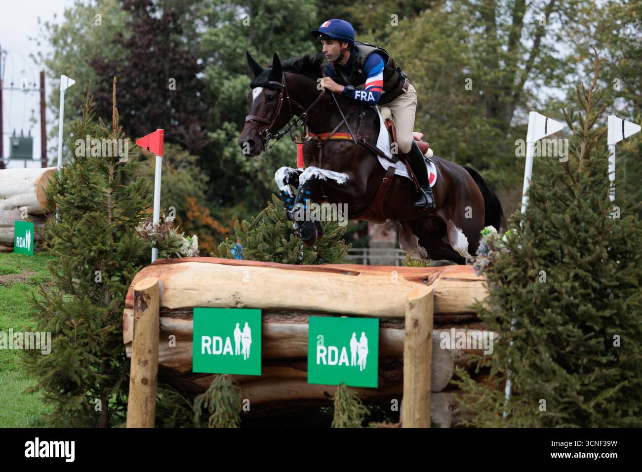 Astier Nicolas of France riding Alertamalib'or during the cross country ...