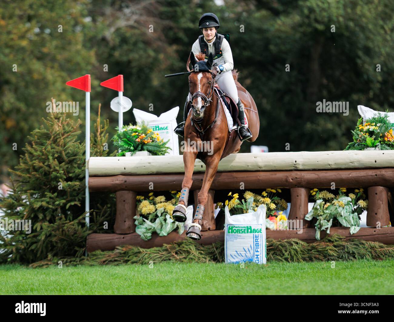 Kumru Say of Turkey riding Baladin De L'ocean Ja during the cross ...