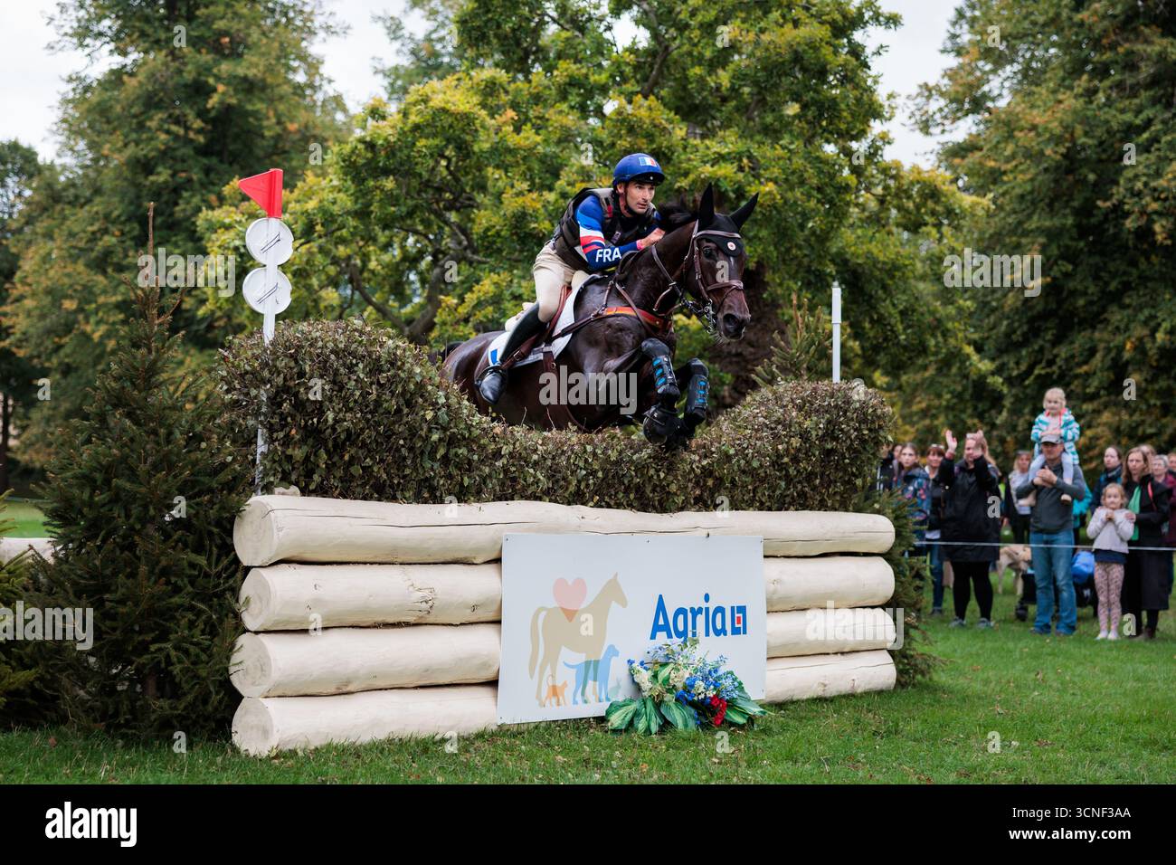 Astier Nicolas of France riding Alertamalib'or at the final fence ...