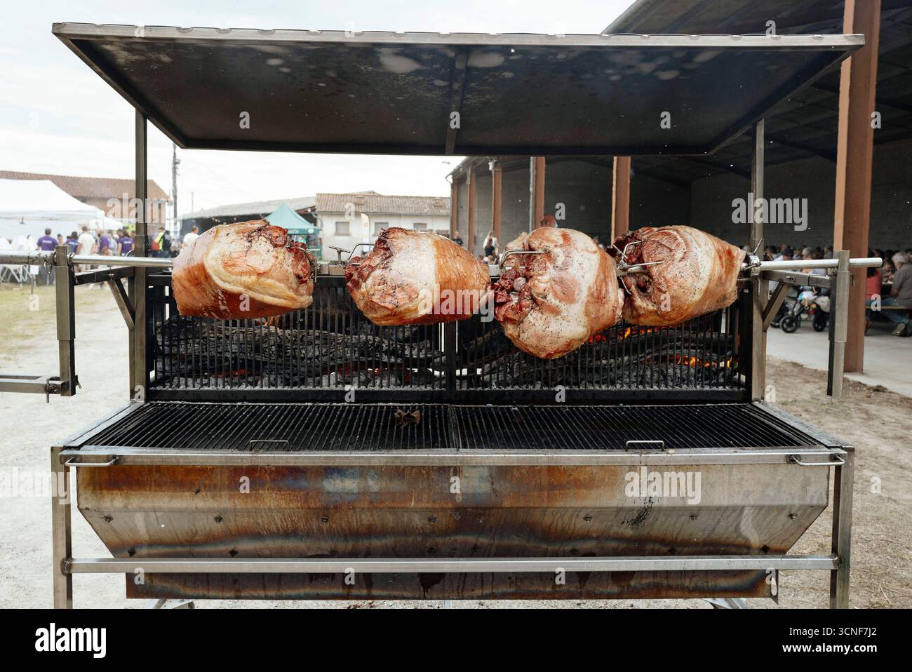 Meals with meat cooked on a rotisserie. 15th edition of Welcome to the ...