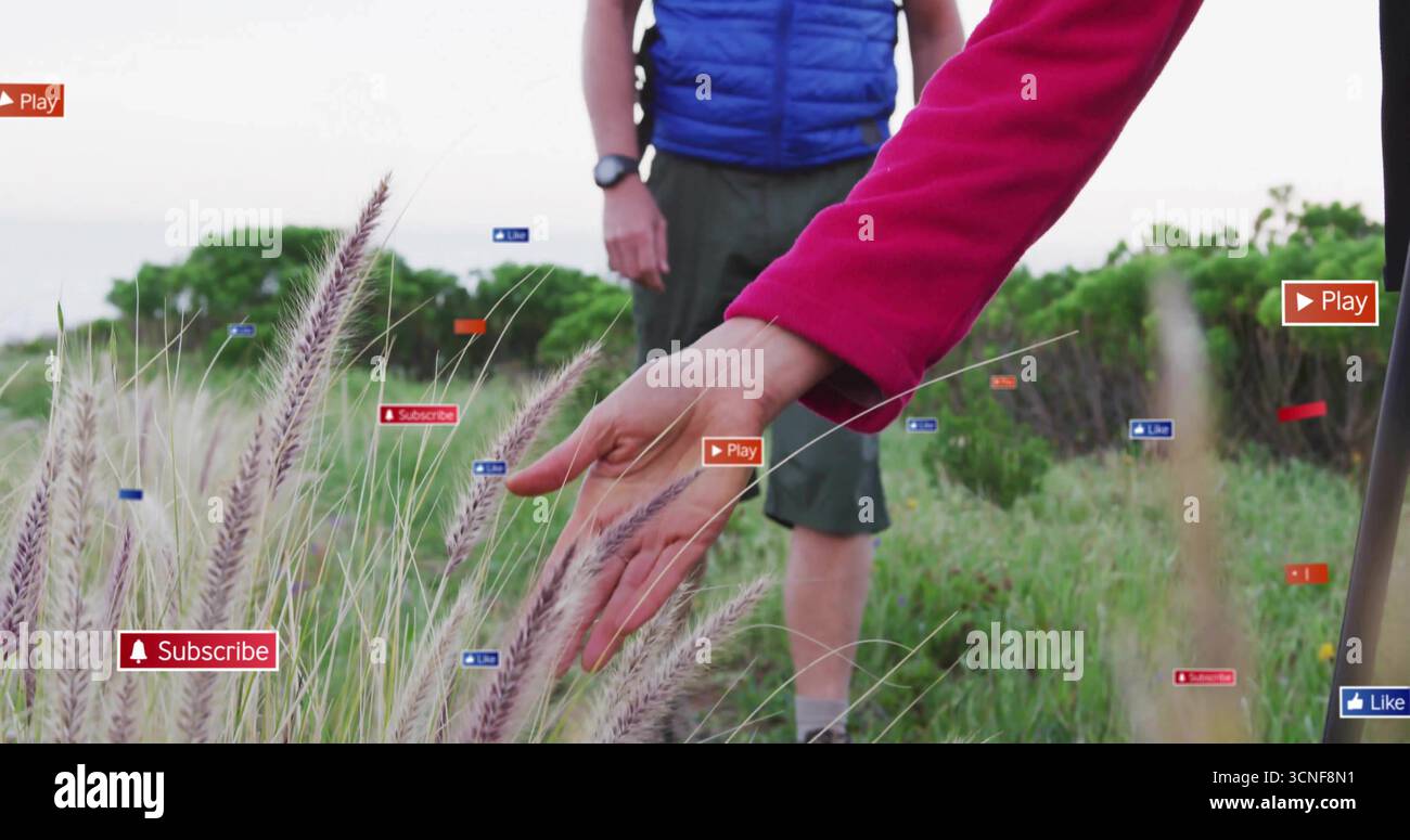 Reaching hiker woman in red top brushing grass plumes at meadow, with ...