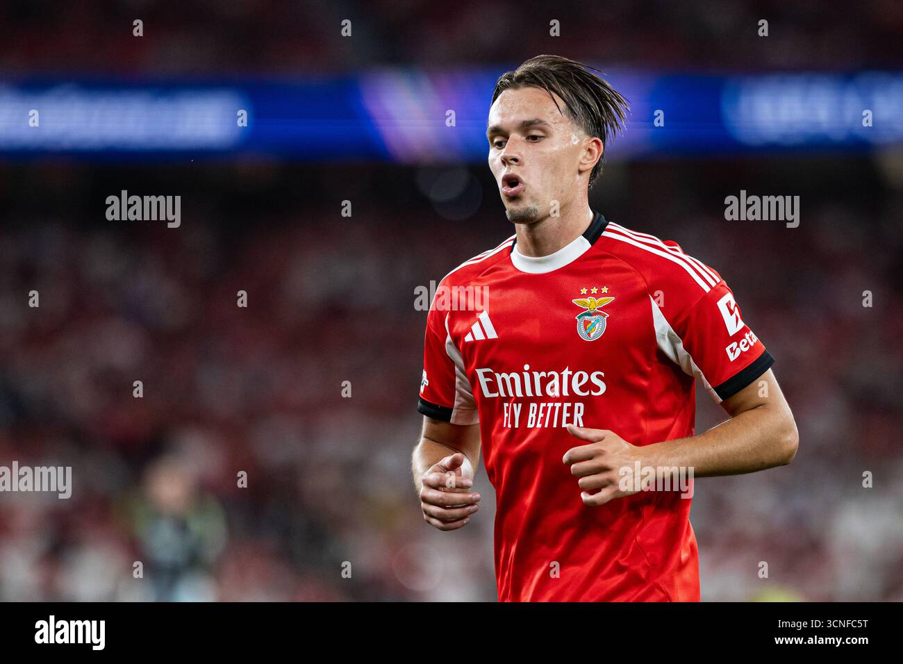 Amar Dedic of SL Benfica seen in action during the UEFA Champions ...
