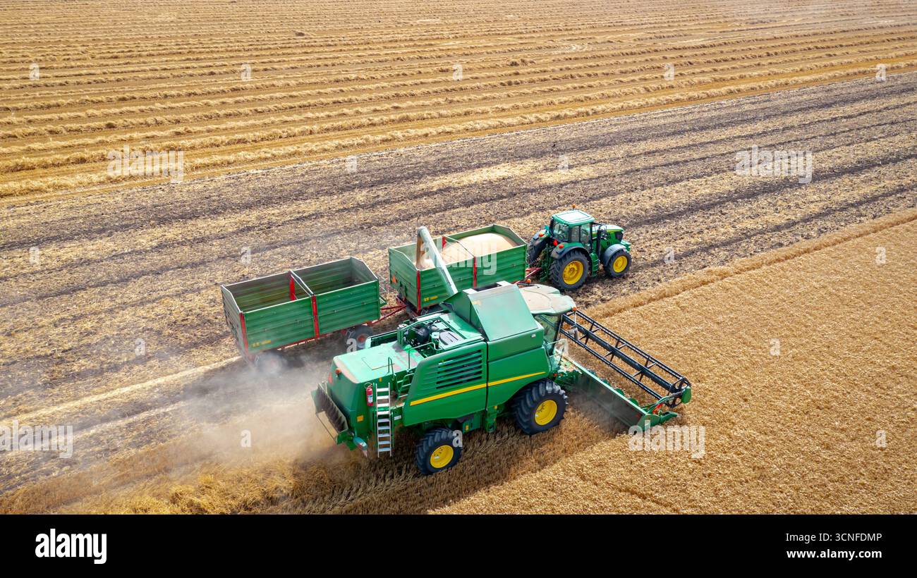 Above view on harvester, combine as harvest mature wheat and unloading ...