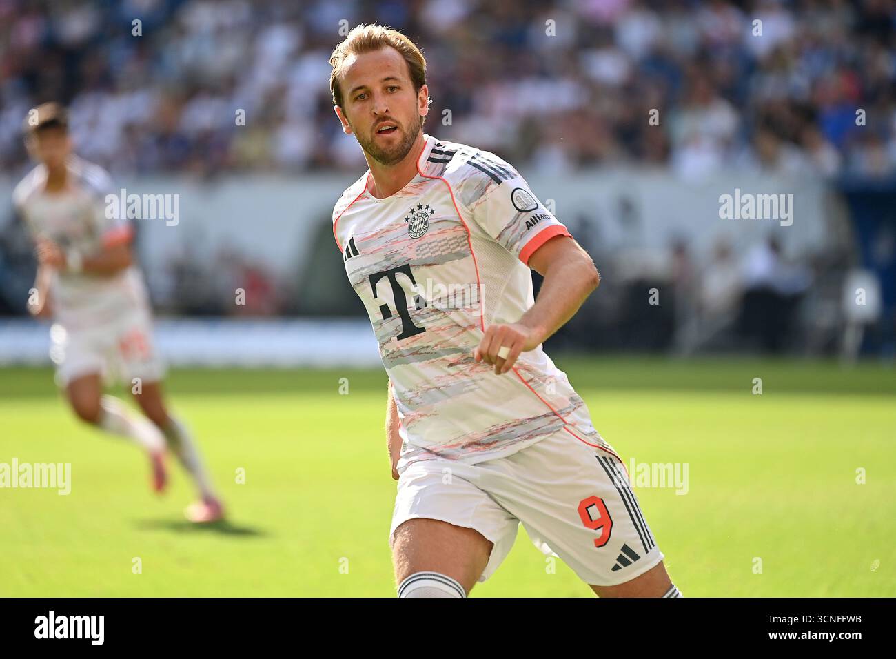 Harry KANE (FC Bayern Munich), action, single image, cropped single ...