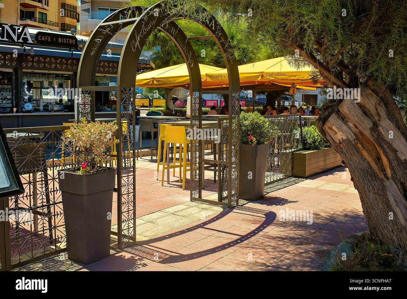 Sliema, Malta - 07.06.2025: A cozy outdoor cafe under a tree with a ...