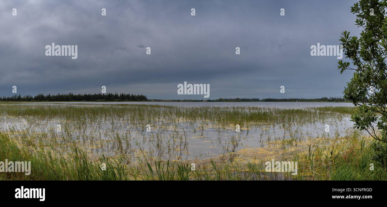 panorama landscape of marshlands and lake panorama in Thy National Park ...