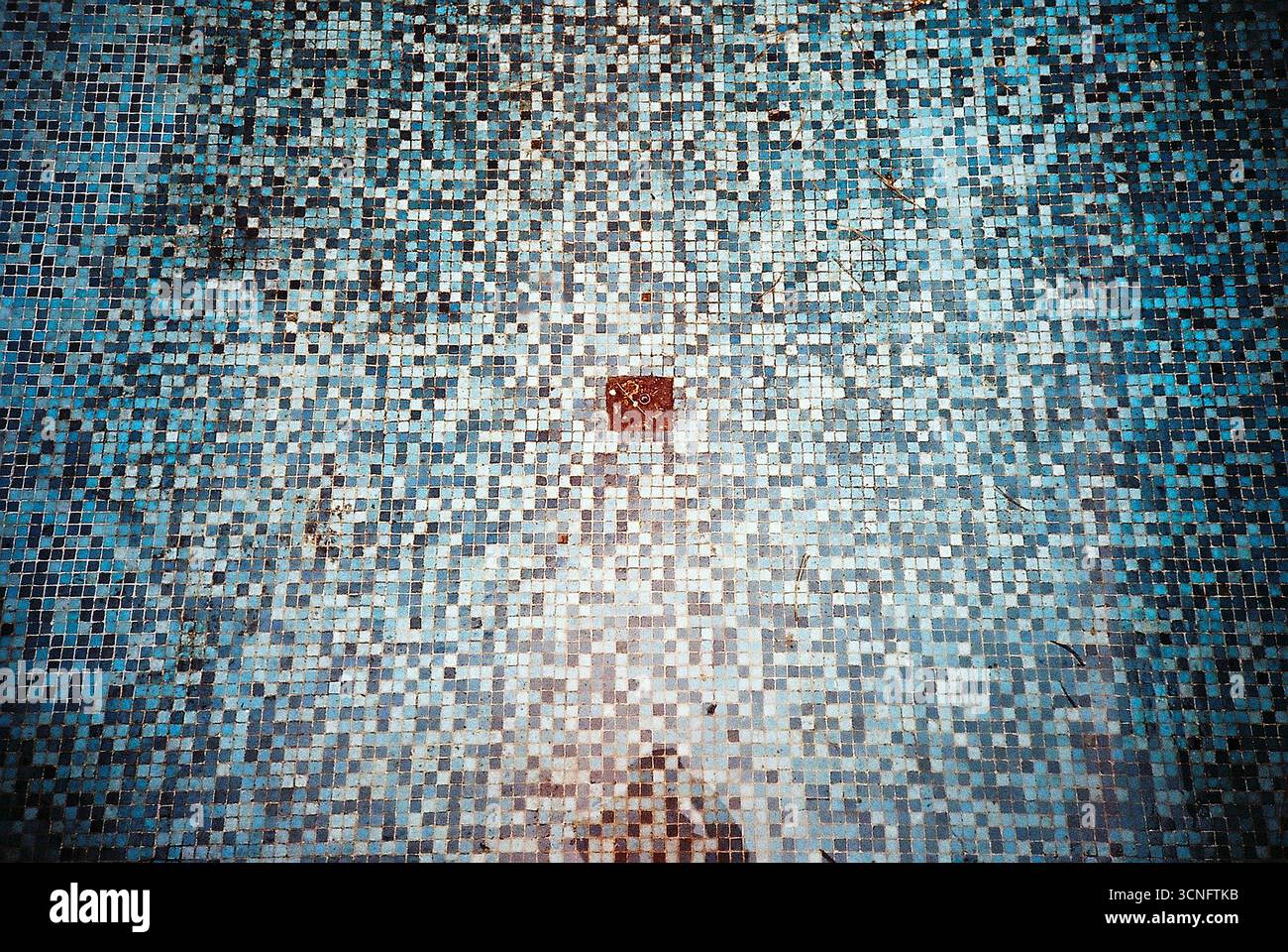 Small empty backyard pool with tiny blue tiles. No water. A quiet space ...