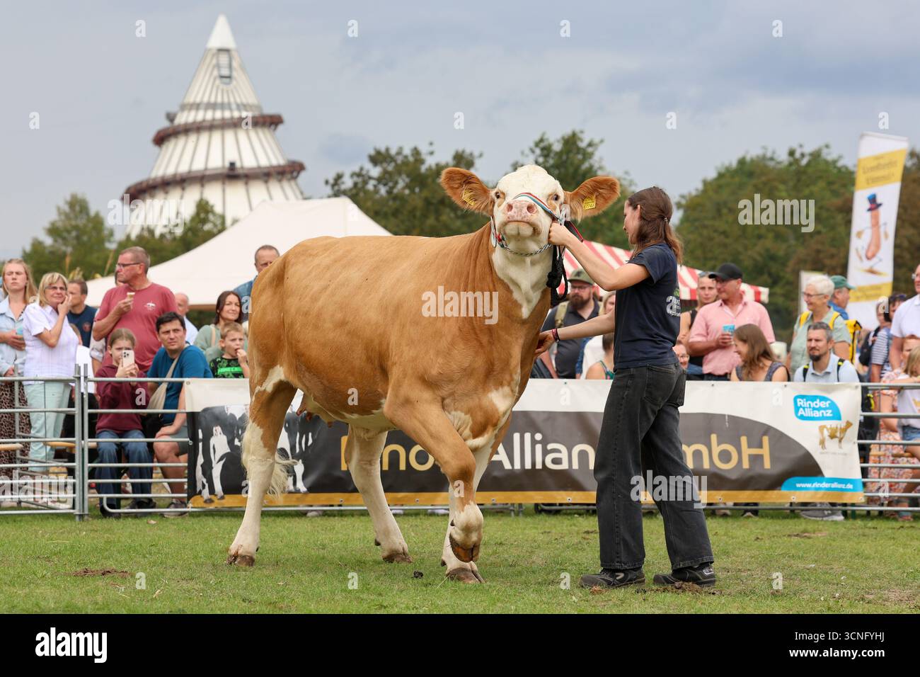 21 September 2025, Saxony-Anhalt, Magdeburg: Young breeder Romy Ernst ...