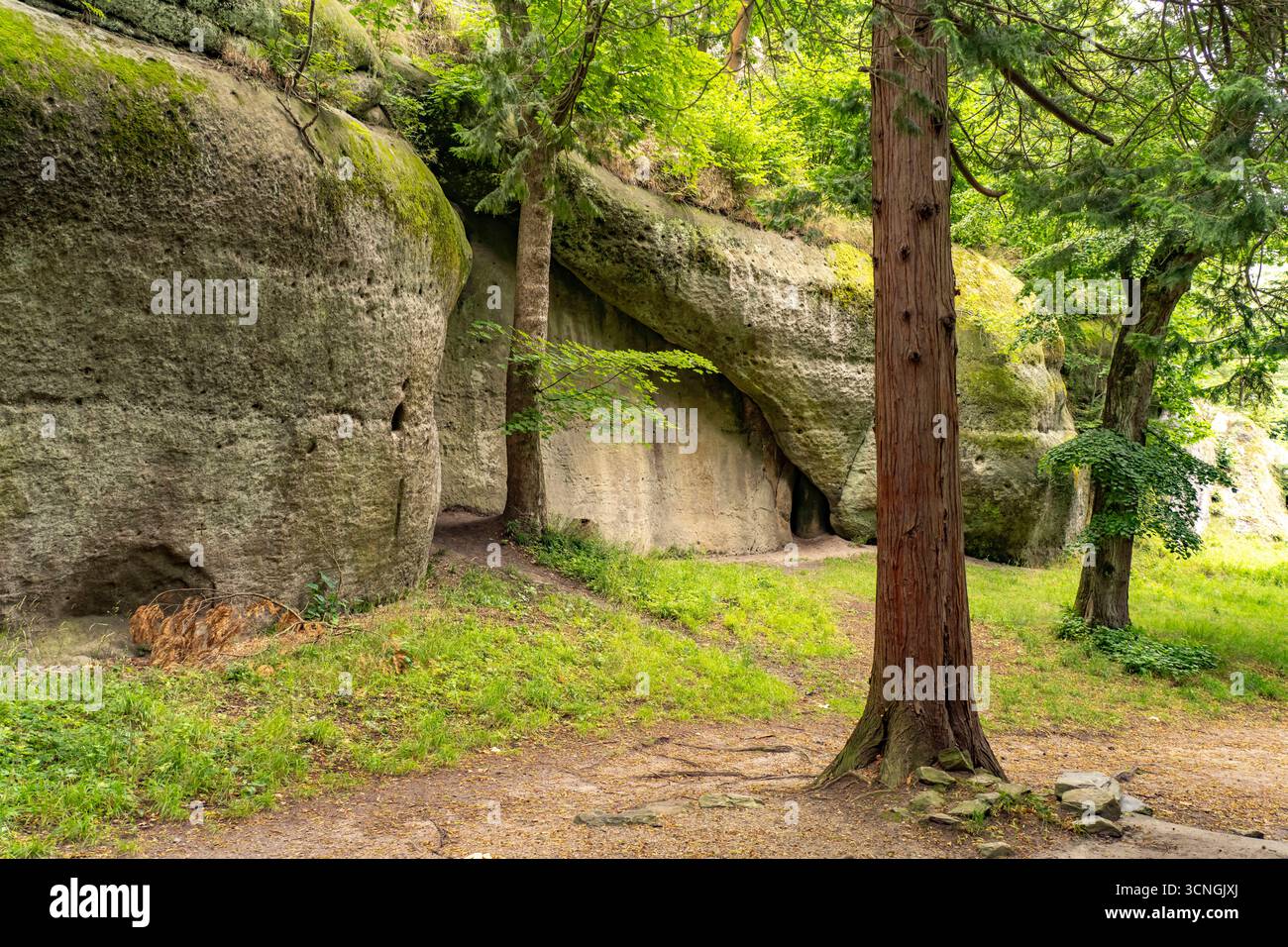 Ritterschlucht Oybin Die Ritterschlucht in Oybin, Zittauer Gebirge ...