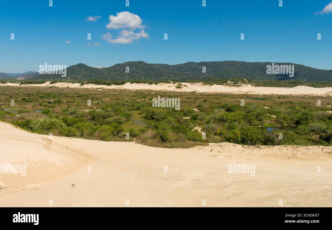 Parque Natural Municipal das Dunas da Lagoa da Conceição - Preservation ...