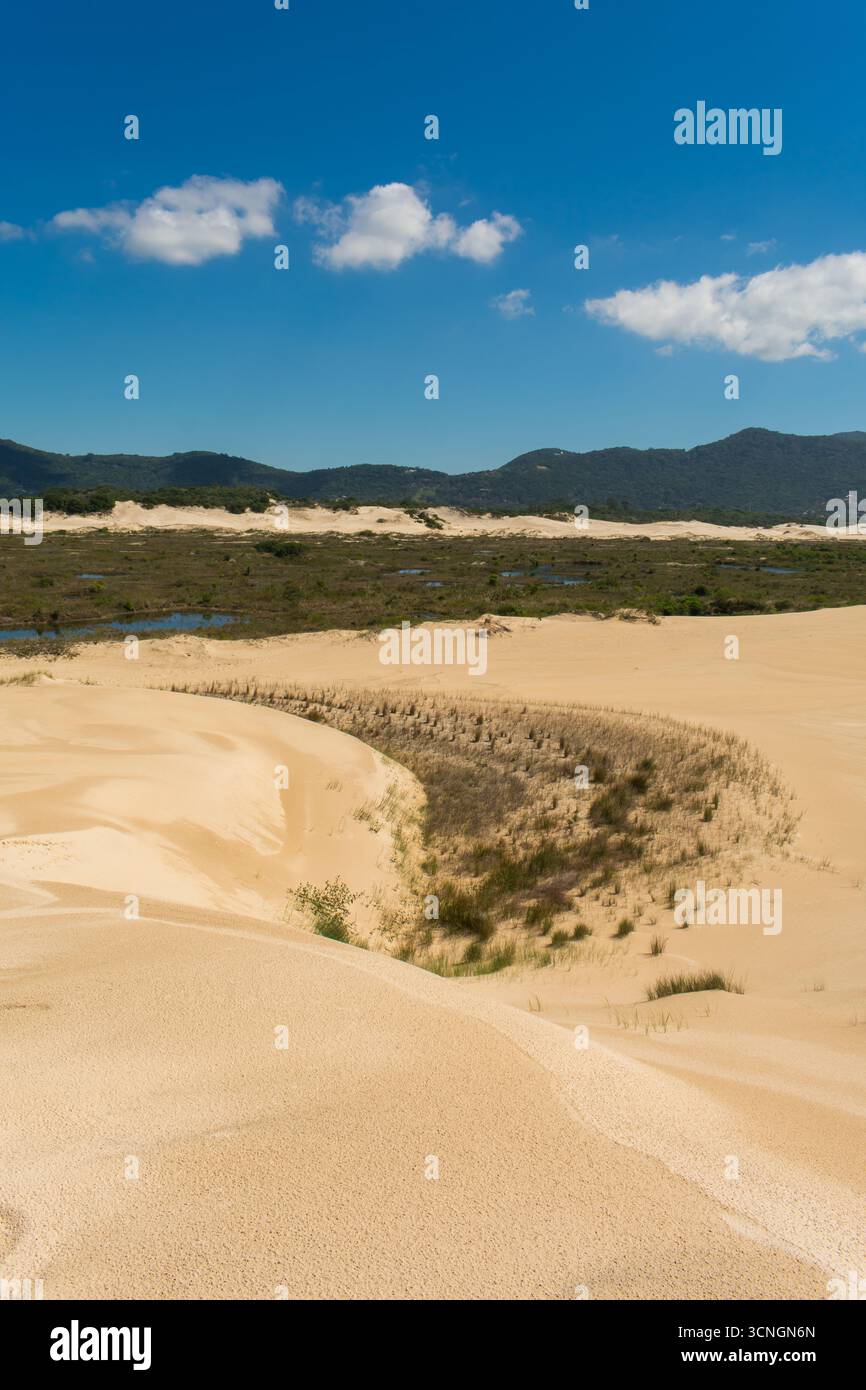 Parque Natural Municipal das Dunas da Lagoa da Conceição - Preservation ...