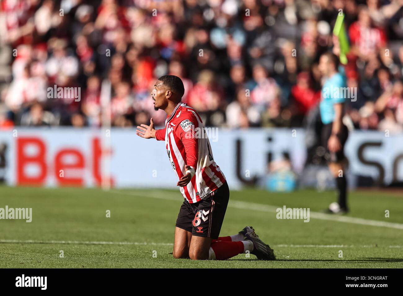 Wilson Isidor of Sunderland reacts after taking a knock, no foul during ...