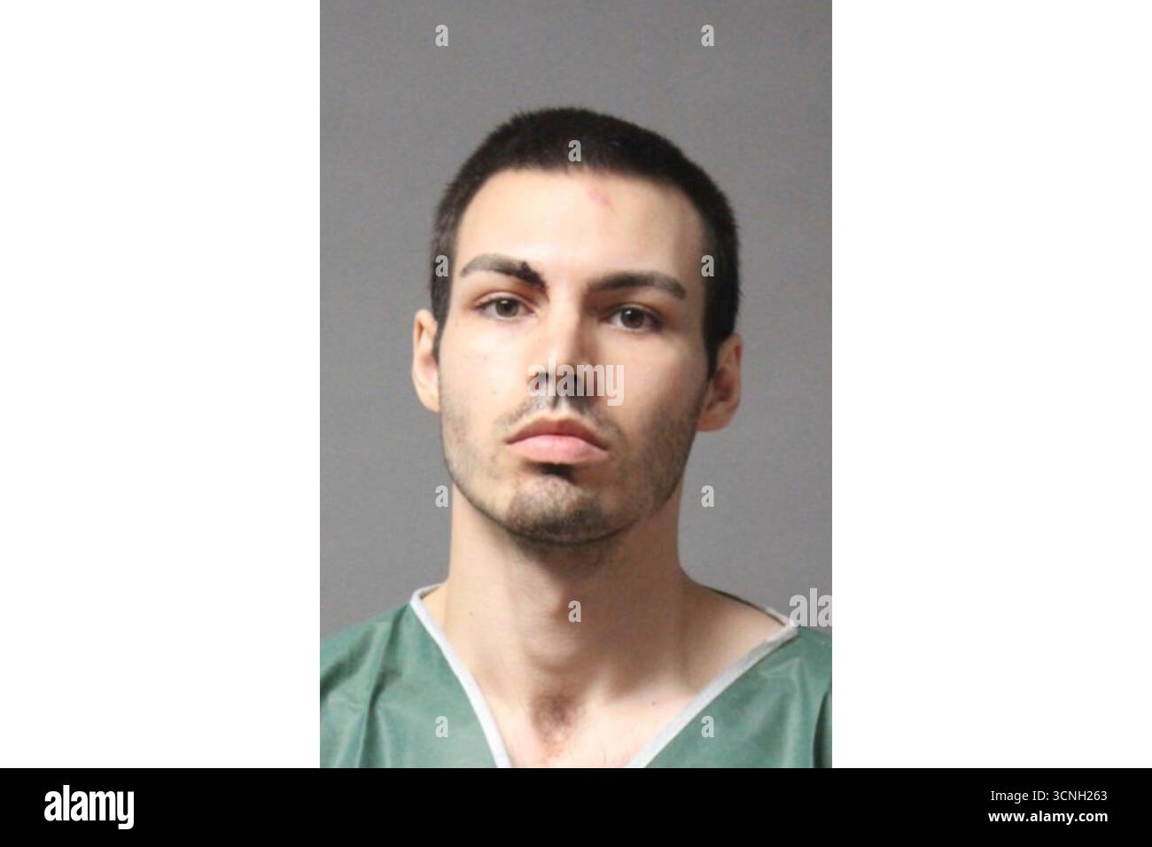 This booking photo provided by New Hampshire Department of Justice ...