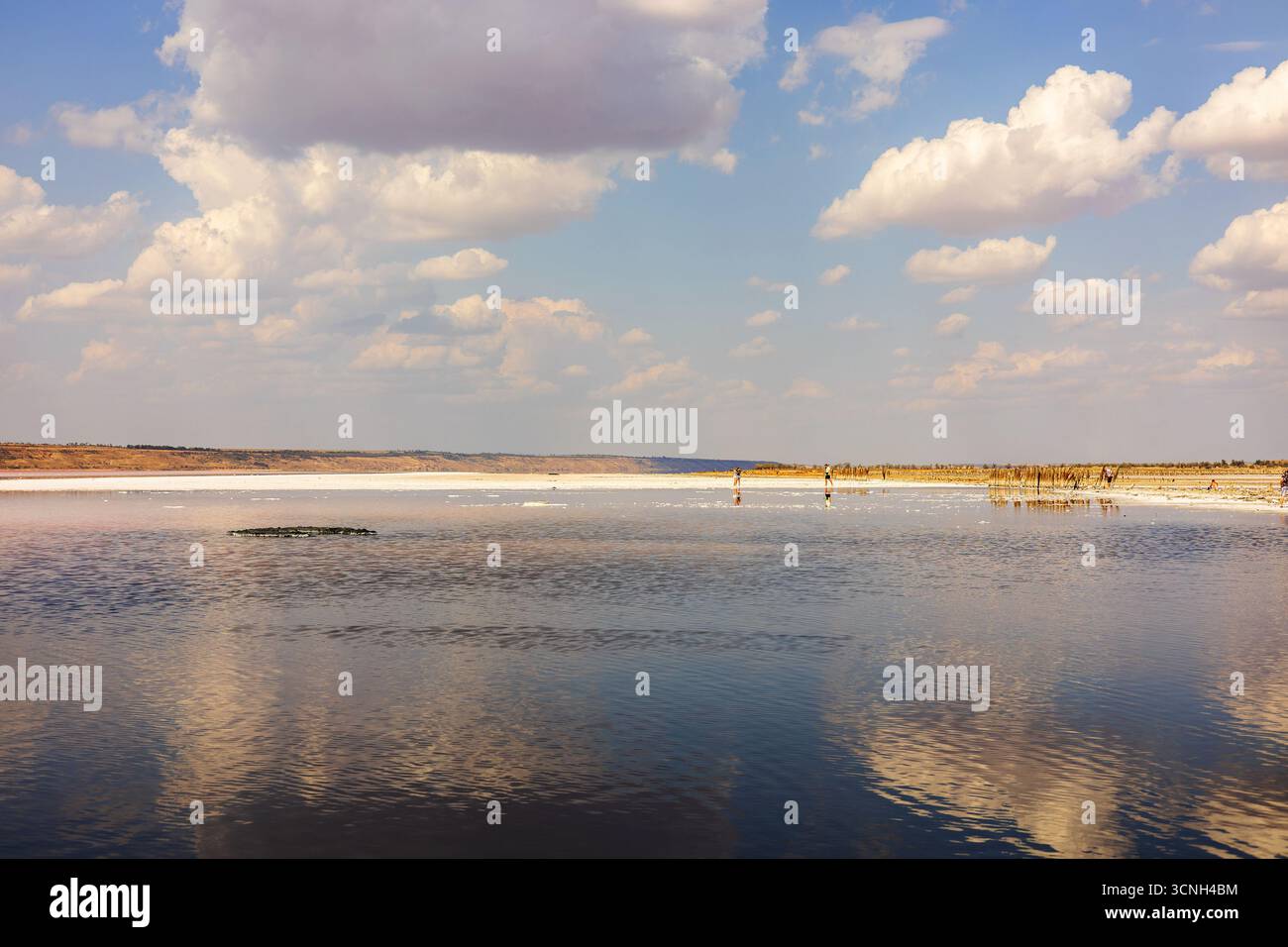 Beautiful marsh landscape estuary hi-res stock photography and images ...