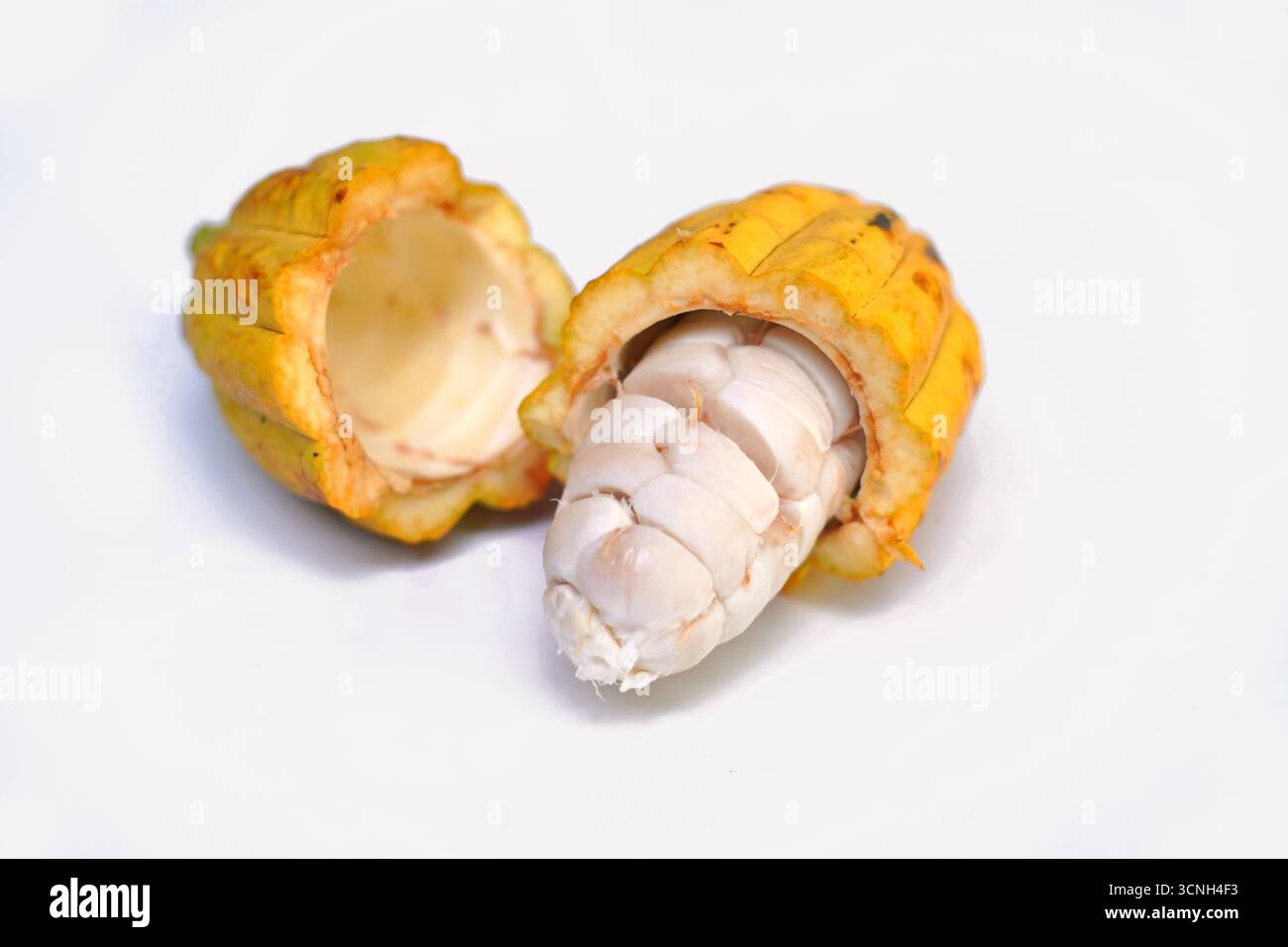 Cut and open cocoa fruit with cocoa seeds on white background Stock ...