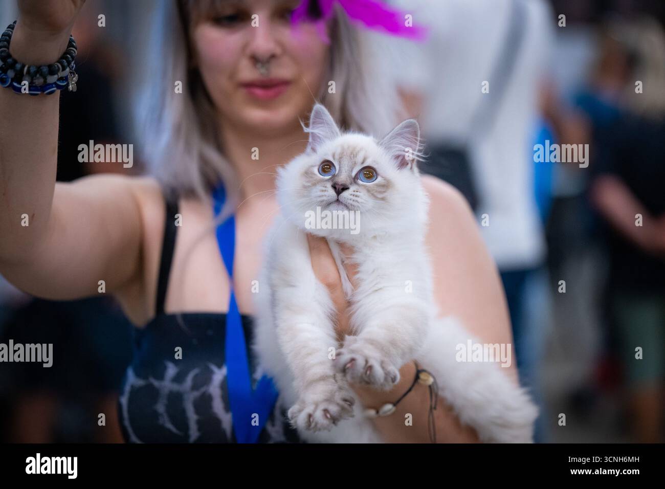 International Cat Show 2025 - WCF Jubilee attracts numerous visitors on ...