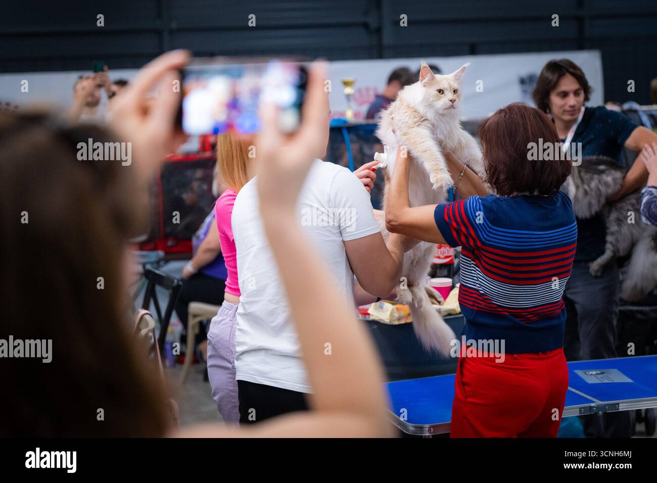 International Cat Show 2025 - WCF Jubilee attracts numerous visitors on ...