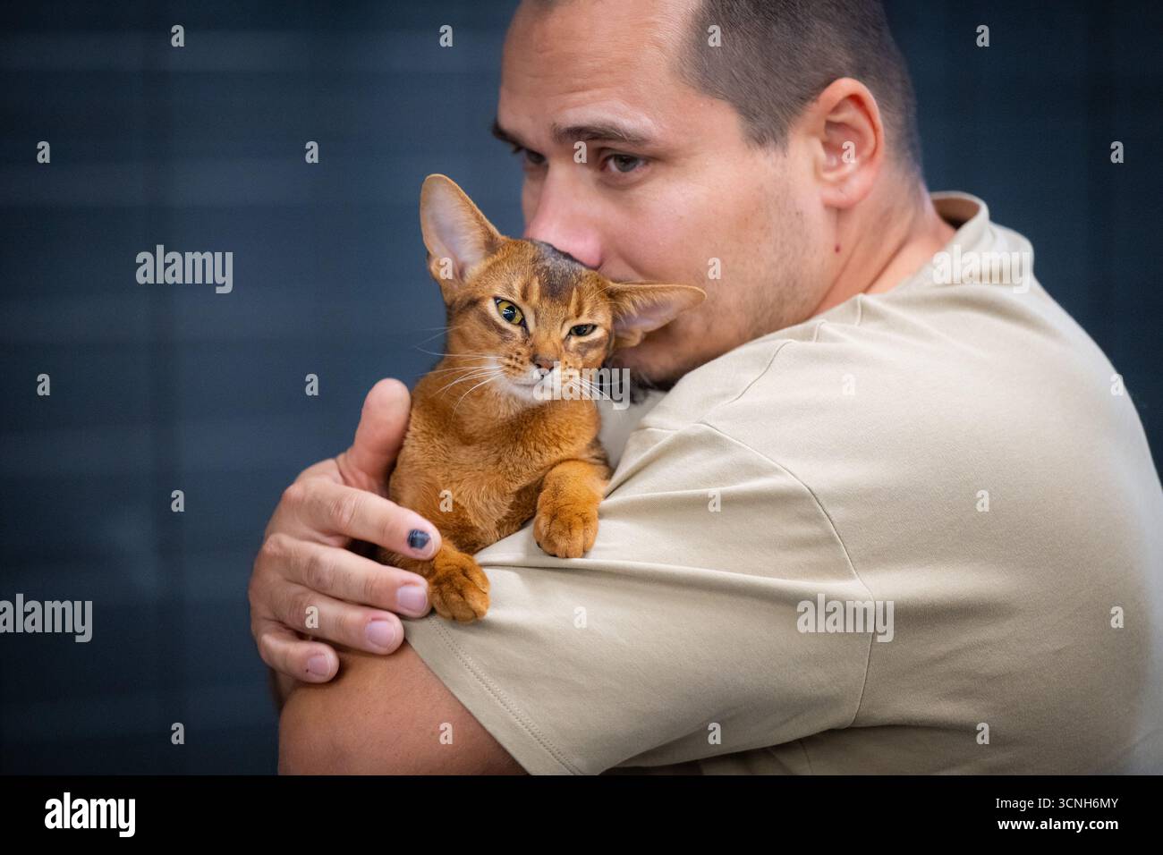 International Cat Show 2025 - WCF Jubilee attracts numerous visitors on ...