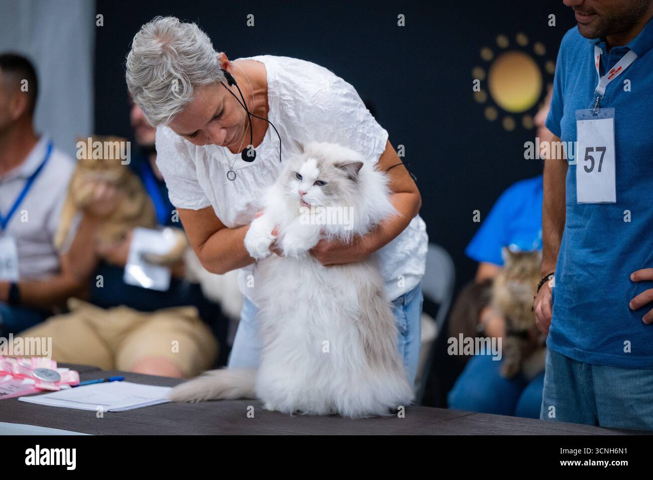 International Cat Show 2025 - WCF Jubilee attracts numerous visitors on ...