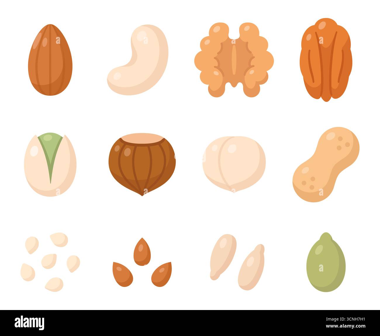Cashew nut icon cartoon hi-res stock photography and images - Alamy