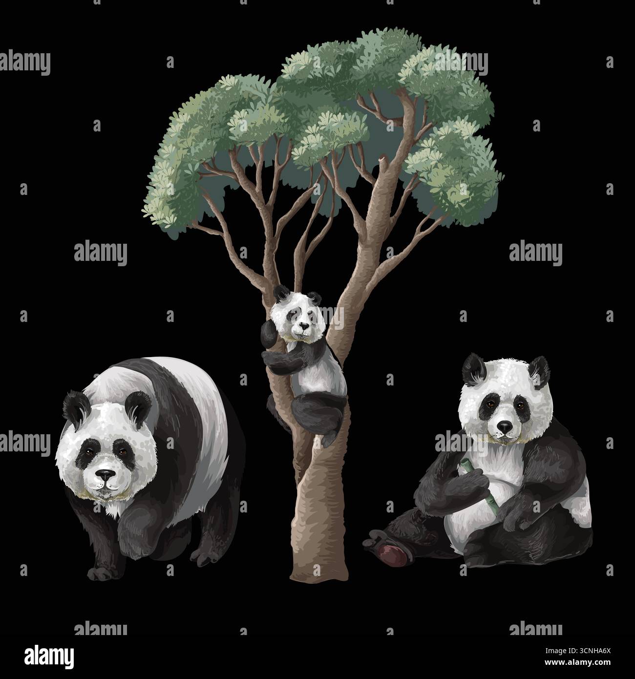Vegetation feature Stock Vector Images - Alamy
