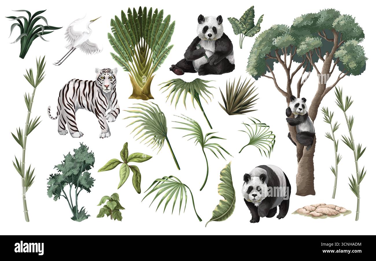 Detailed Isolated Panda Trio Surrounded by Tropical Jungle Foliage ...