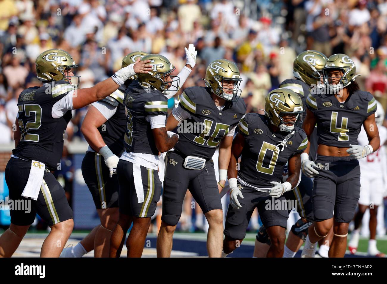 Georgia Tech quarterback Haynes King (10) celebrates with teammates ...