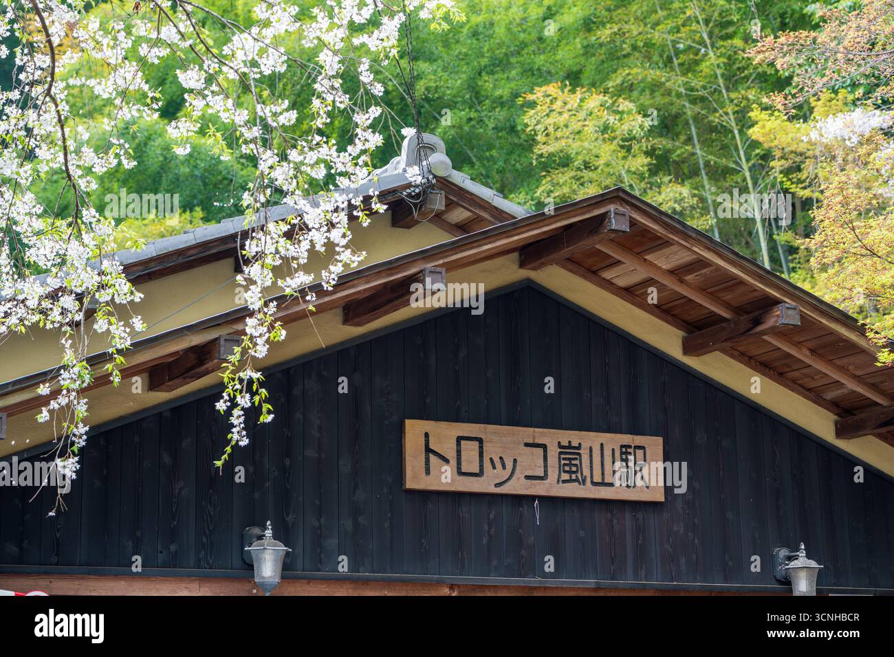 Sagano romantic railway hi-res stock photography and images - Alamy