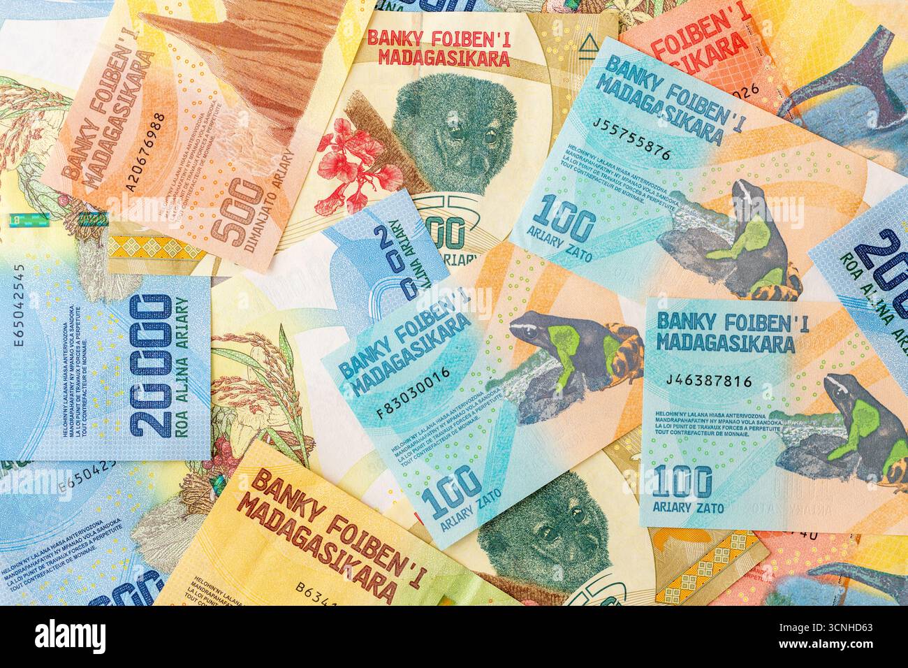 Frogfinance hi-res stock photography and images - Alamy