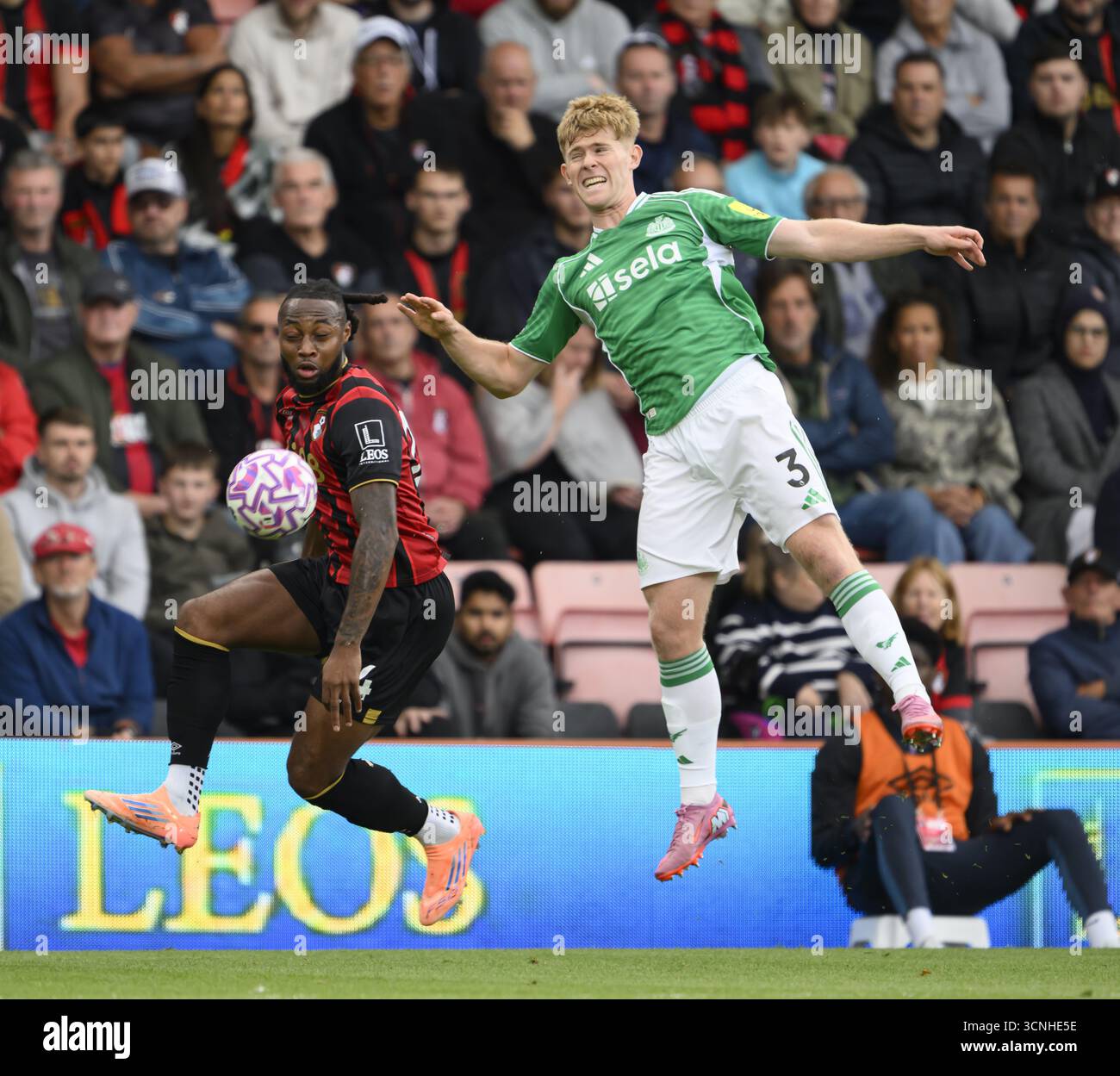 Bournemouth, England, September 21, 2025: Bournemouth's Antoine Semenyo ...