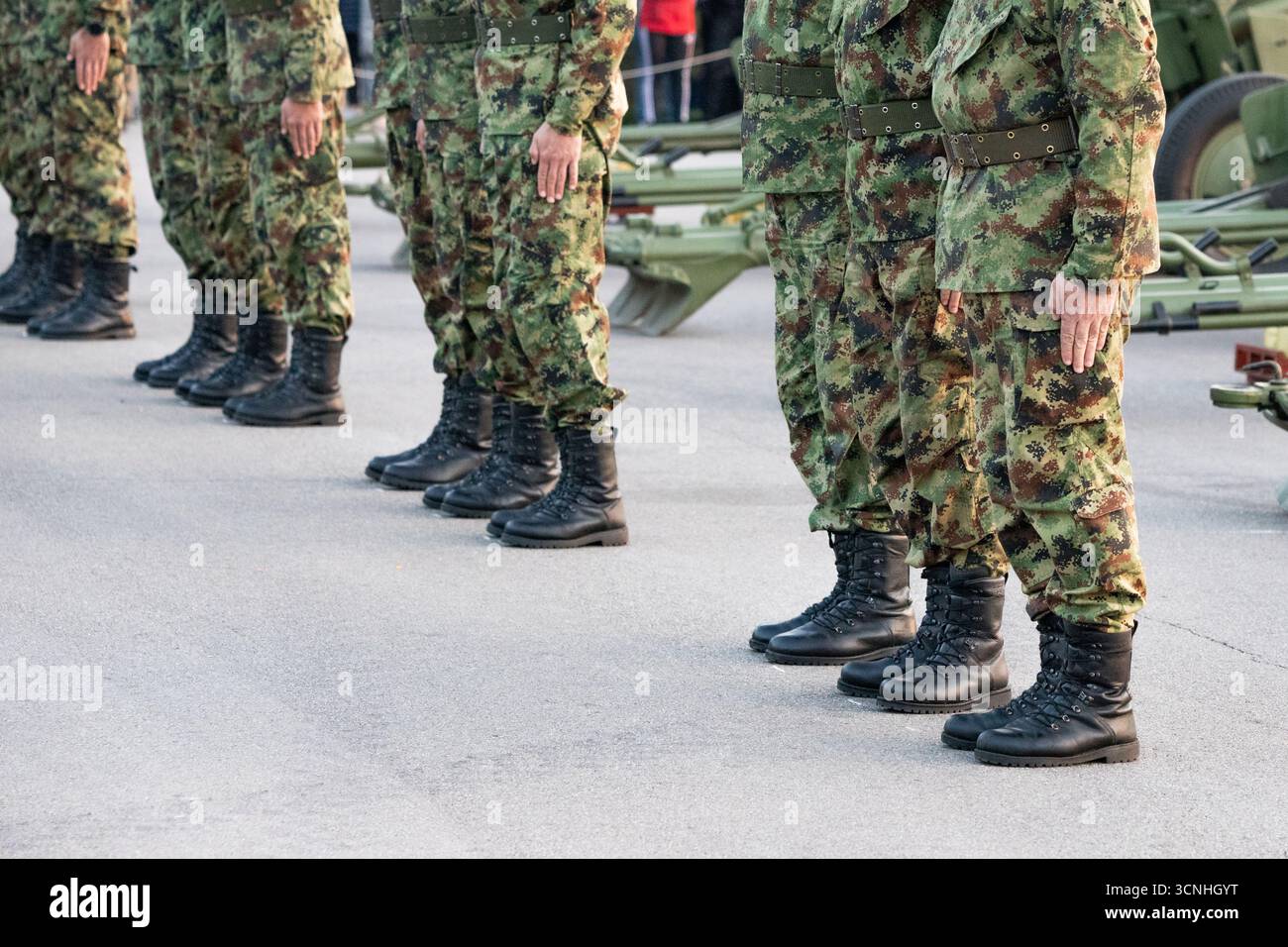 Soldiers standing in parade formation, wearing military camouflage ...