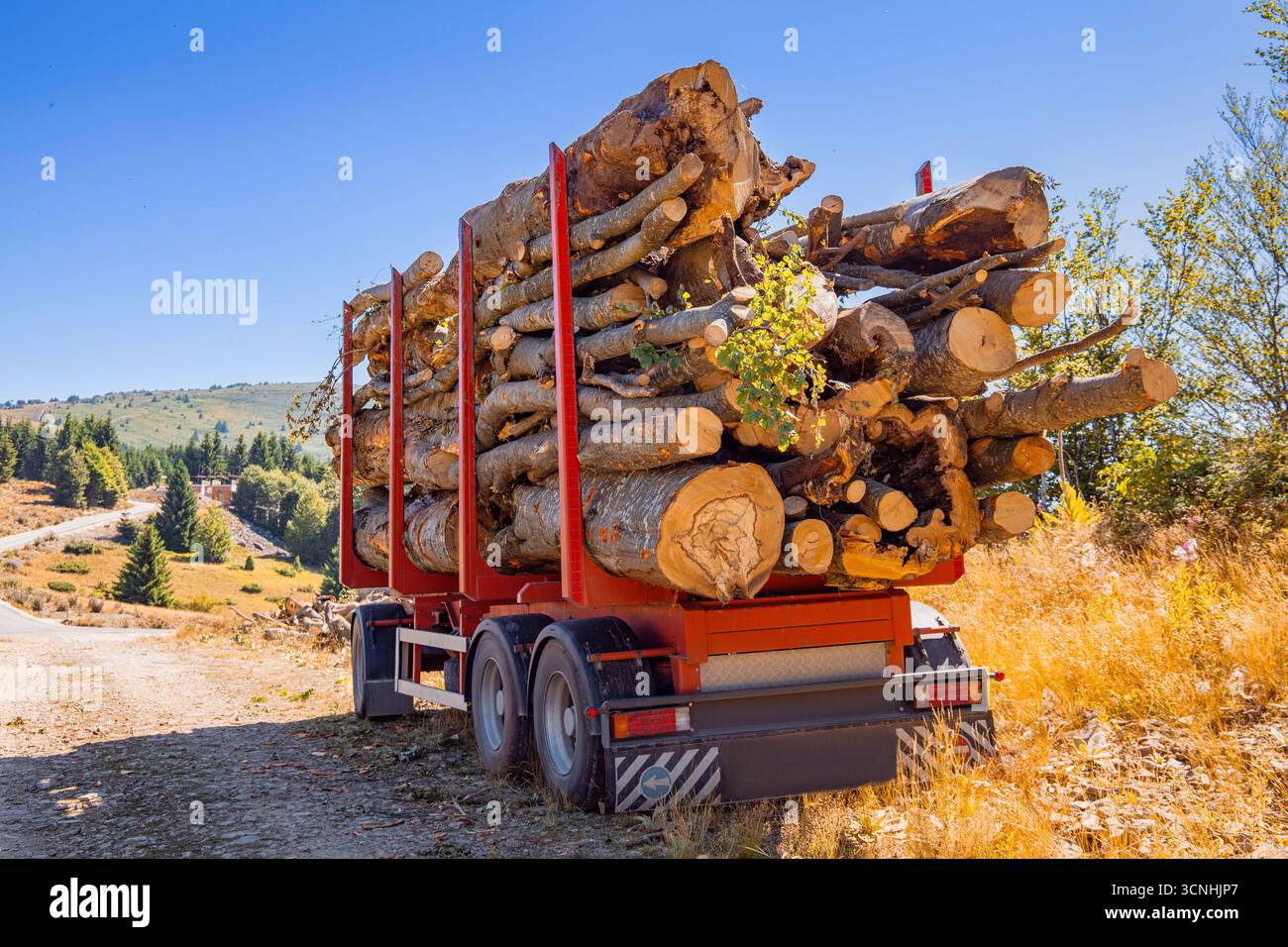 Logging truck trailer carrying stacked timber logs, illustrating ...