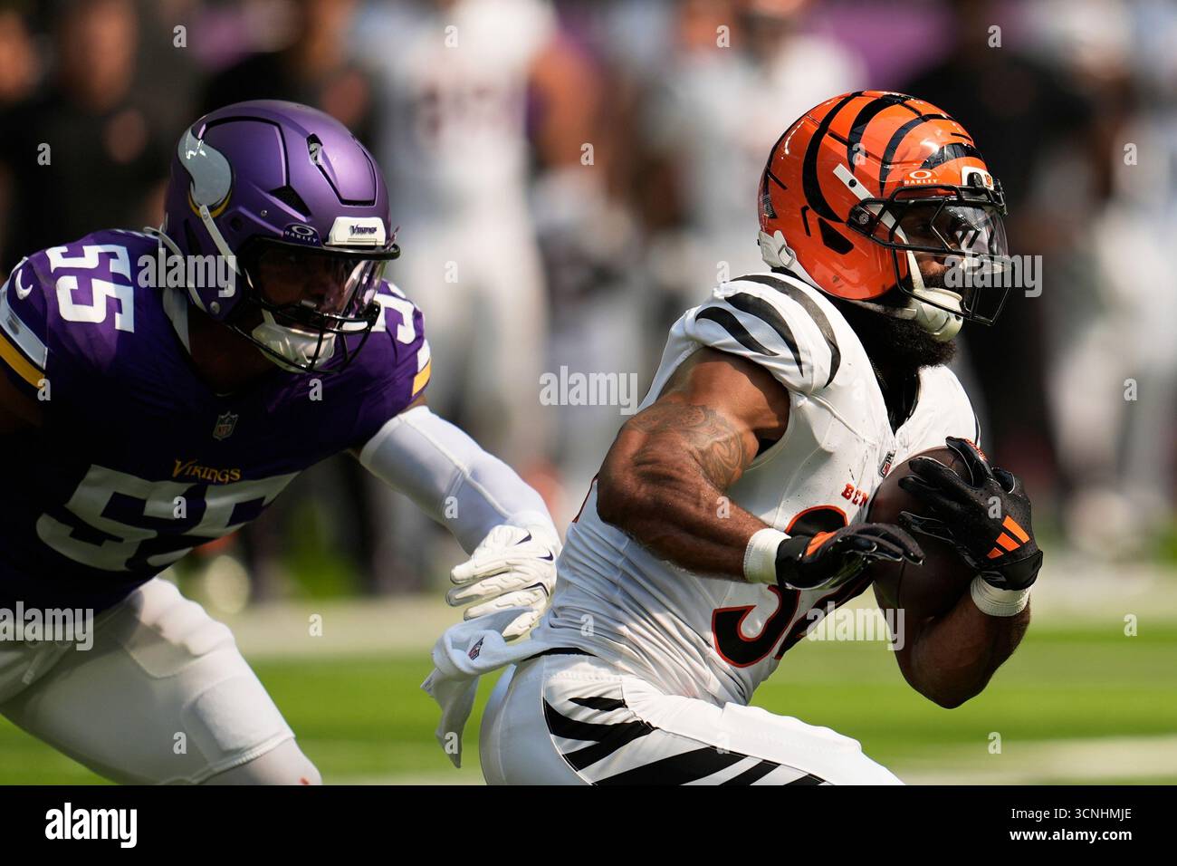 Cincinnati Bengals running back Samaje Perine runs against Minnesota ...