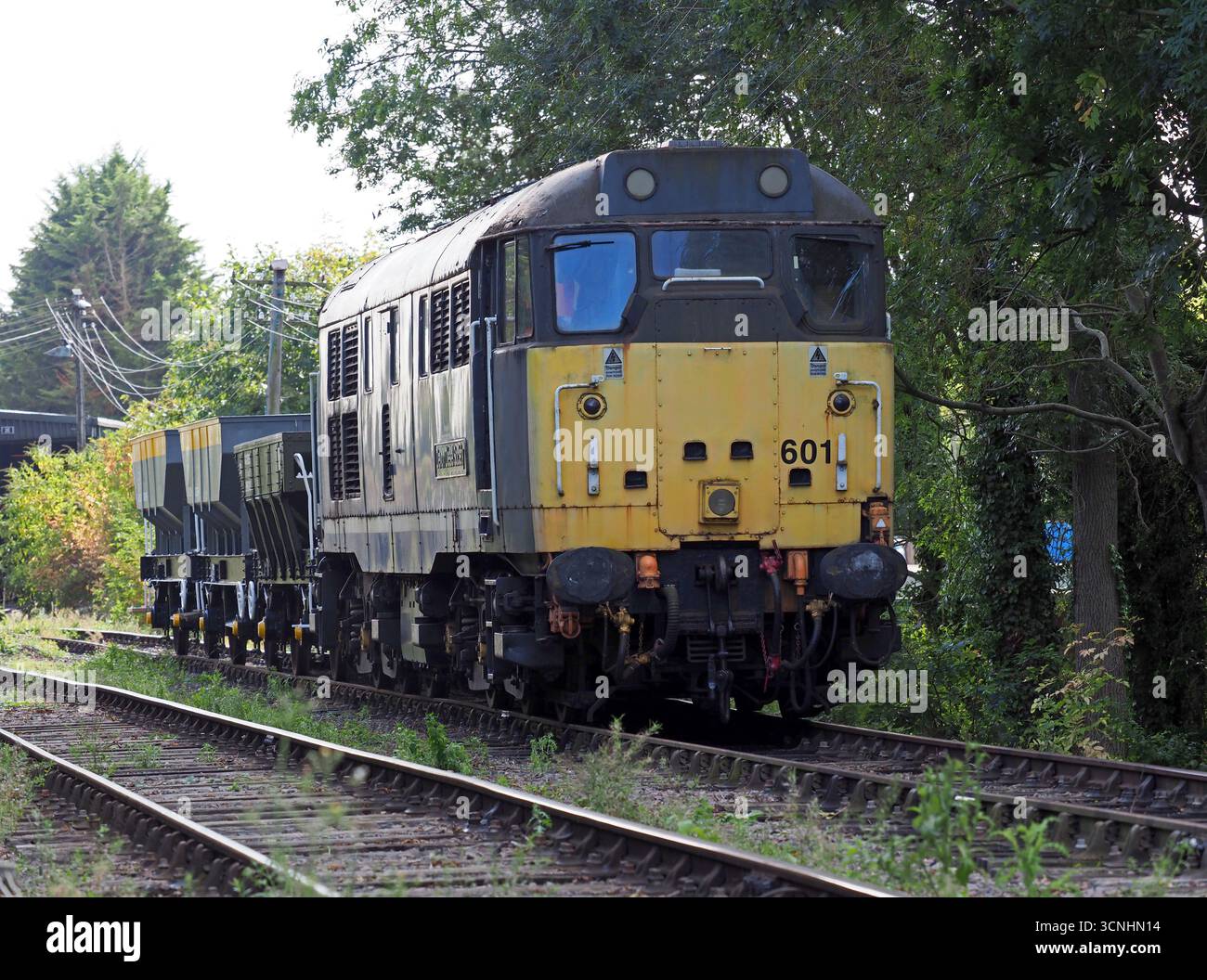 Class 31 31601 at the Northampton and Lamport Railway 200 Gala ...