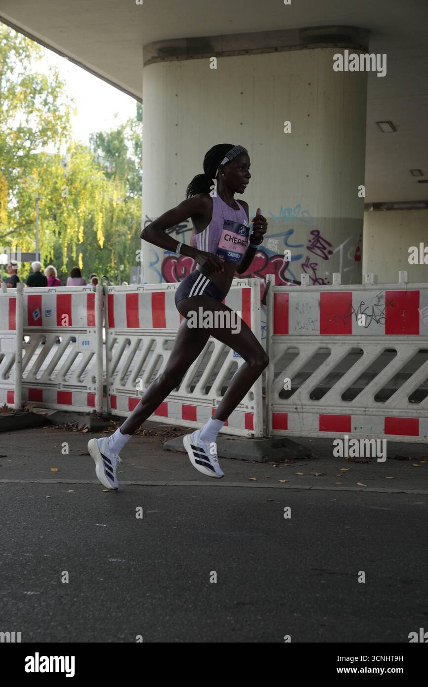 Marathon in Berlin GER, Berlin,20250921, Berlinmarathon,am ...