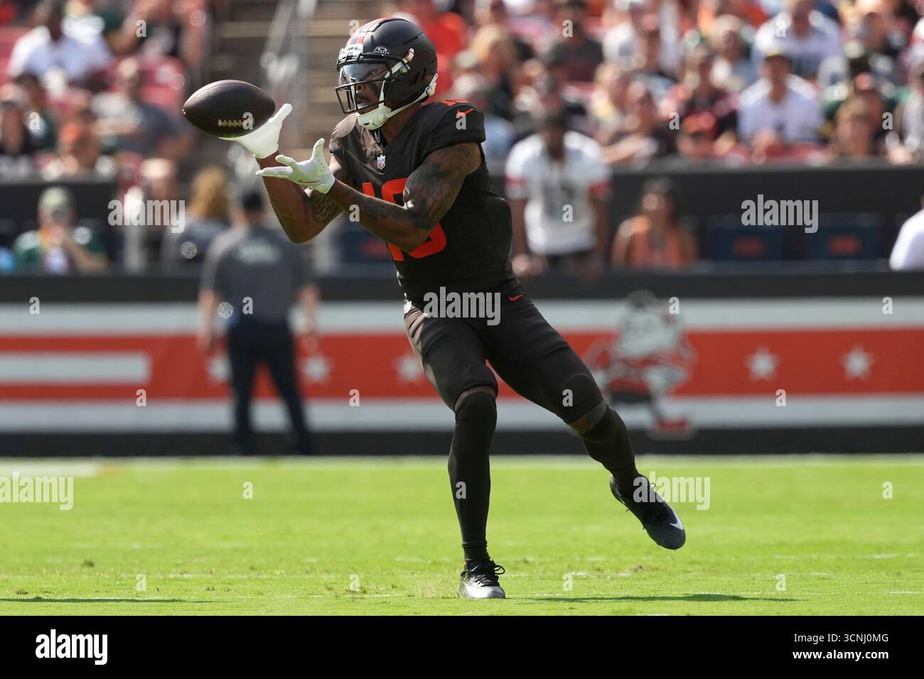Cleveland Browns wide receiver Cedric Tillman (19) catches a pass ...