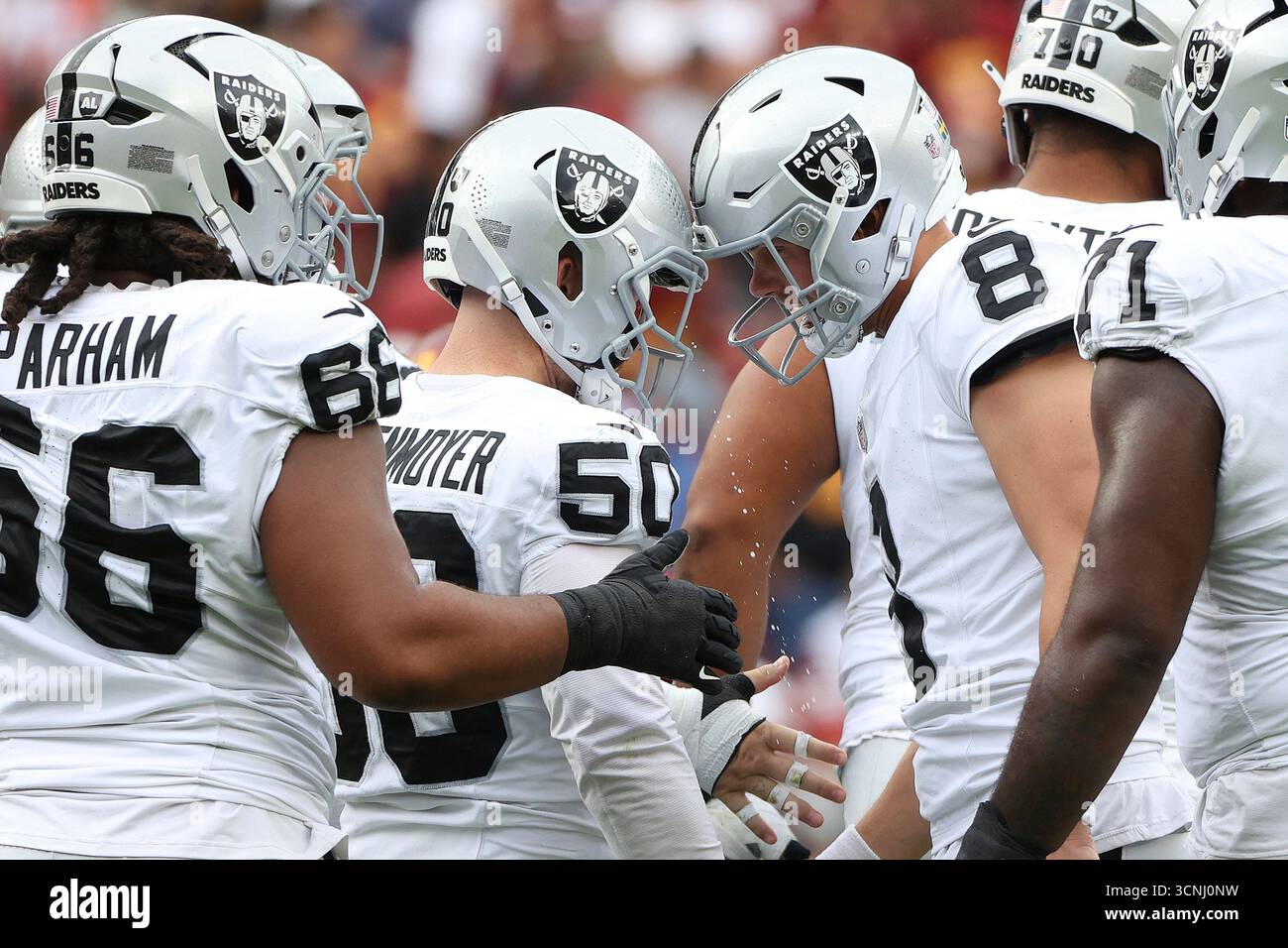 Las Vegas Raiders kicker Daniel Carlson (8) celebrates with Las Vegas ...
