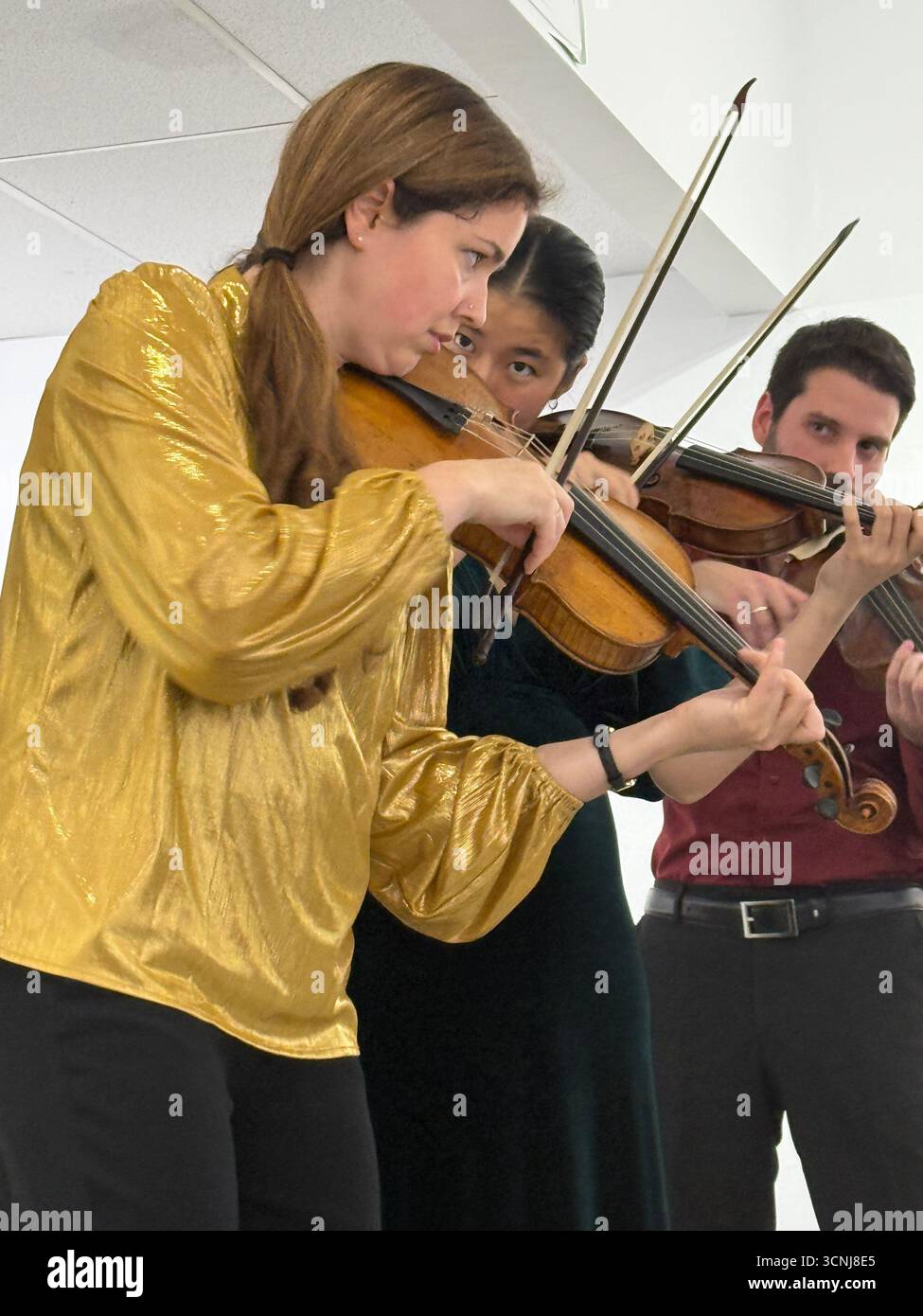 Mostly baroque musical group called "Relic" performs at a gallery on ...