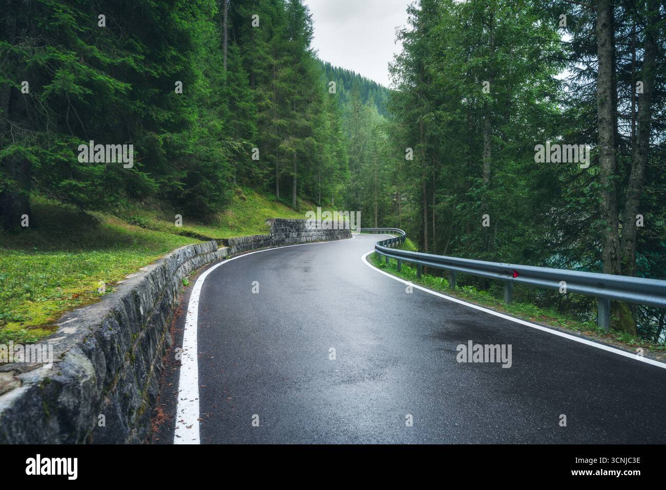 Wet mountain road curving through dense green forest Stock Photo - Alamy
