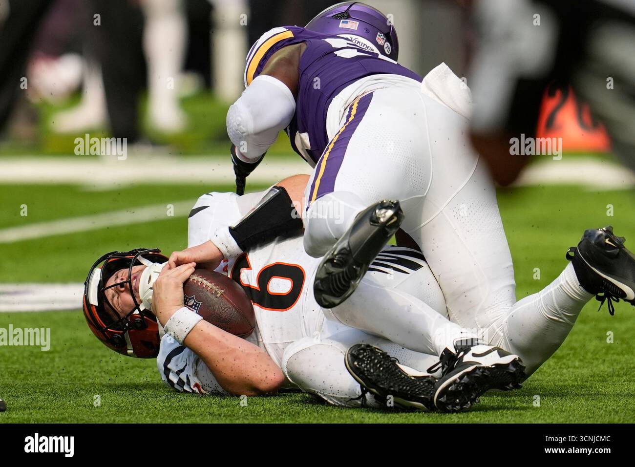 Cincinnati Bengals quarterback Jake Browning (6) is sacked by Minnesota ...