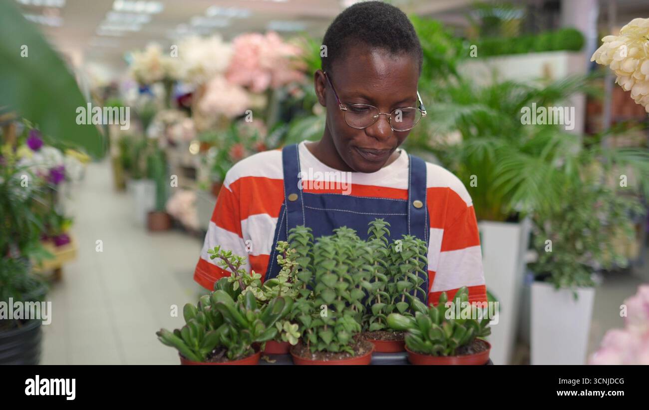 Young florist holding tray small hi-res stock photography and images ...