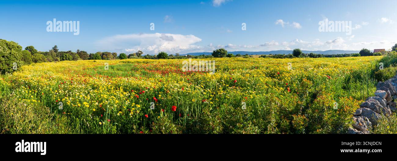 Panoramic view beautiful full hi-res stock photography and images - Alamy