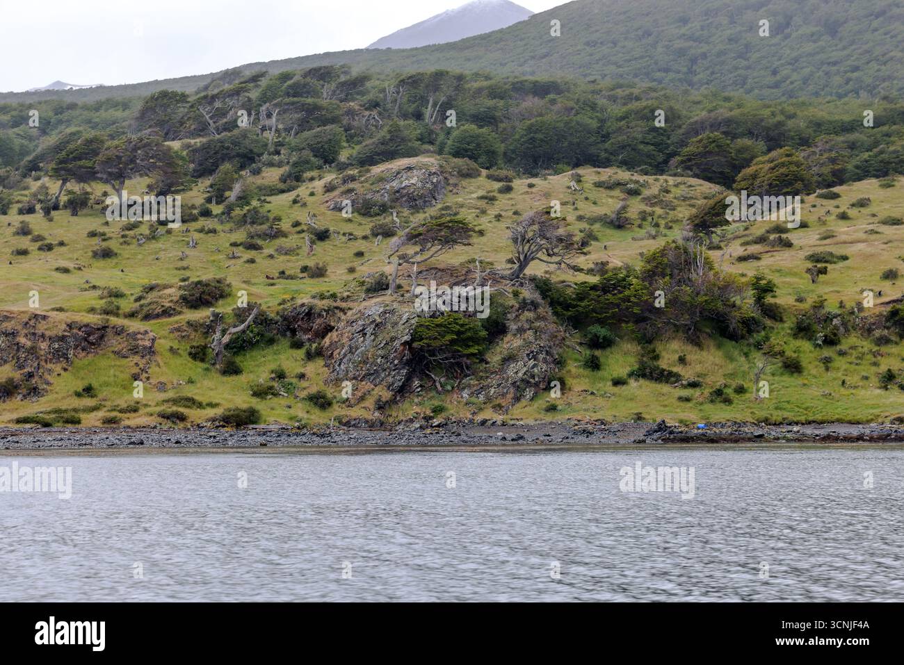 emote, weathered homes on the isolated islands of the Beagle Channel ...
