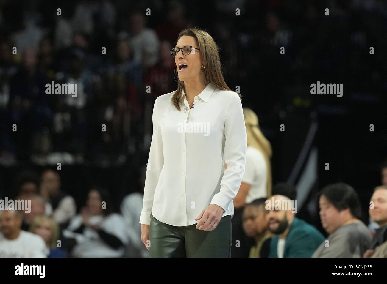 Indiana Fever head coach Stephanie White reacts in the first half of Game 1 against the Las ...