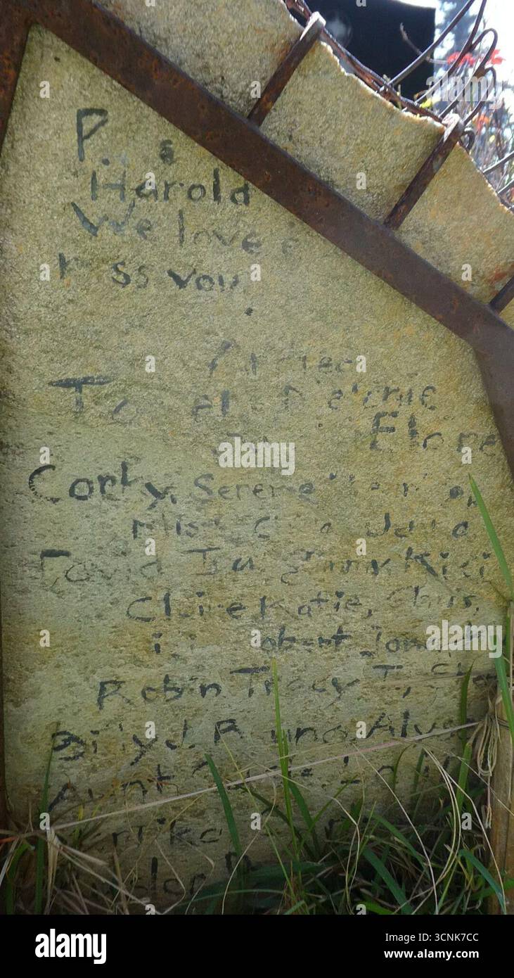 "parker lewis can't lose!" hi-res stock photography and images - Alamy