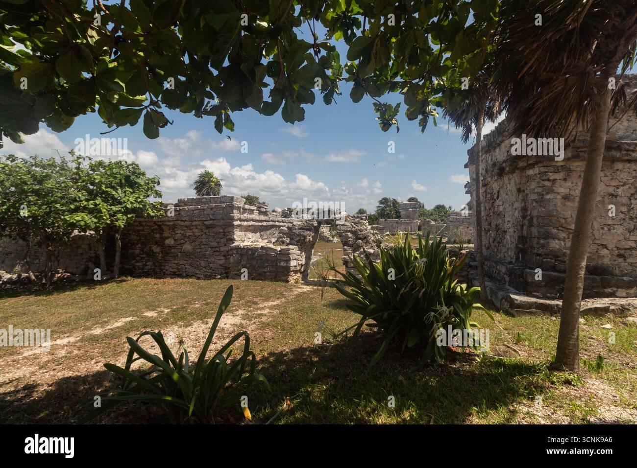 Beautiful scene of an antique mayan ruins structures in sunny day at ...